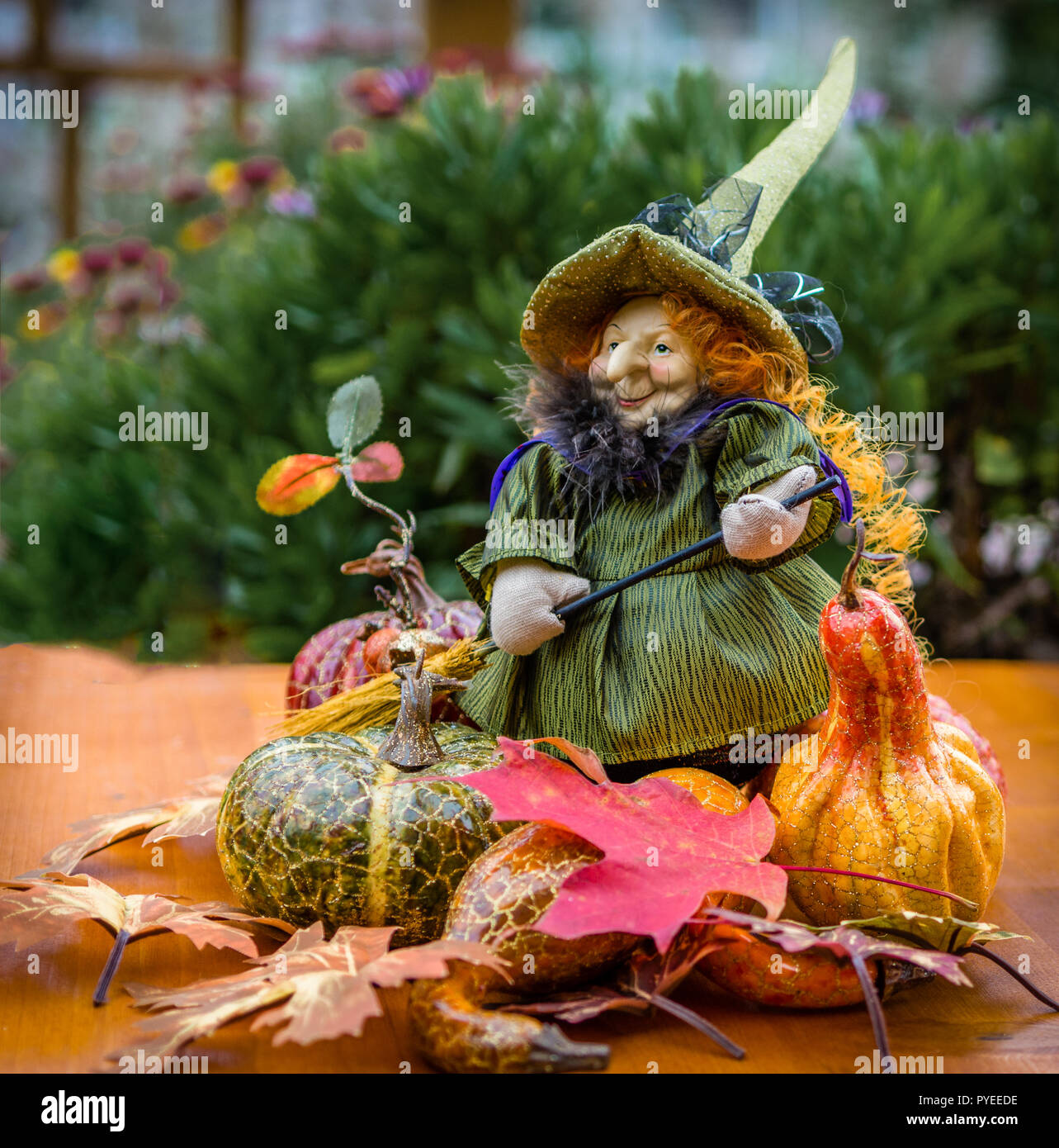 Collage, a lady with a broom put their pumpkins on public display Stock ...