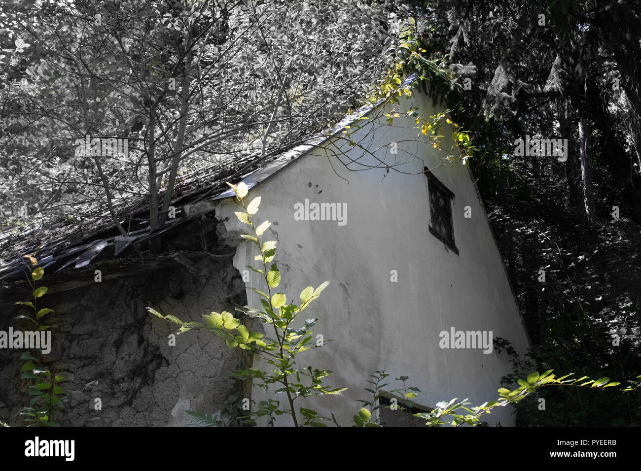 Abandoned Haunted Horror House Stock Photo - Alamy