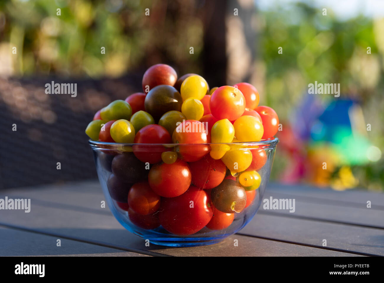 Tamato hi-res stock photography and images - Alamy