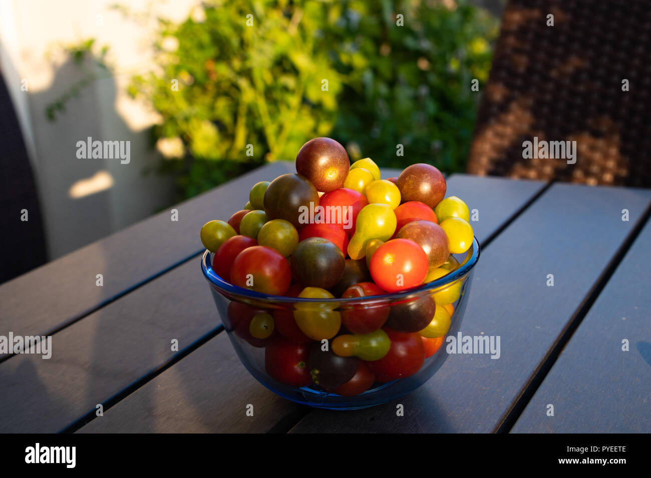 Tamato hi-res stock photography and images - Alamy