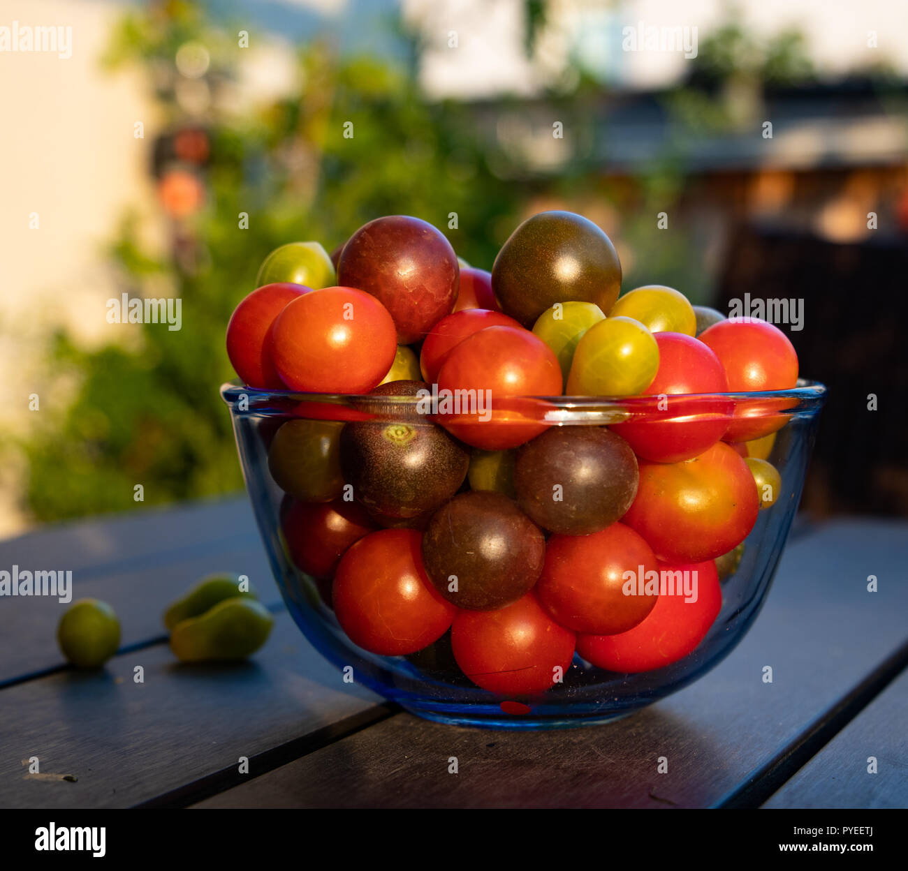 Tamato hi-res stock photography and images - Alamy