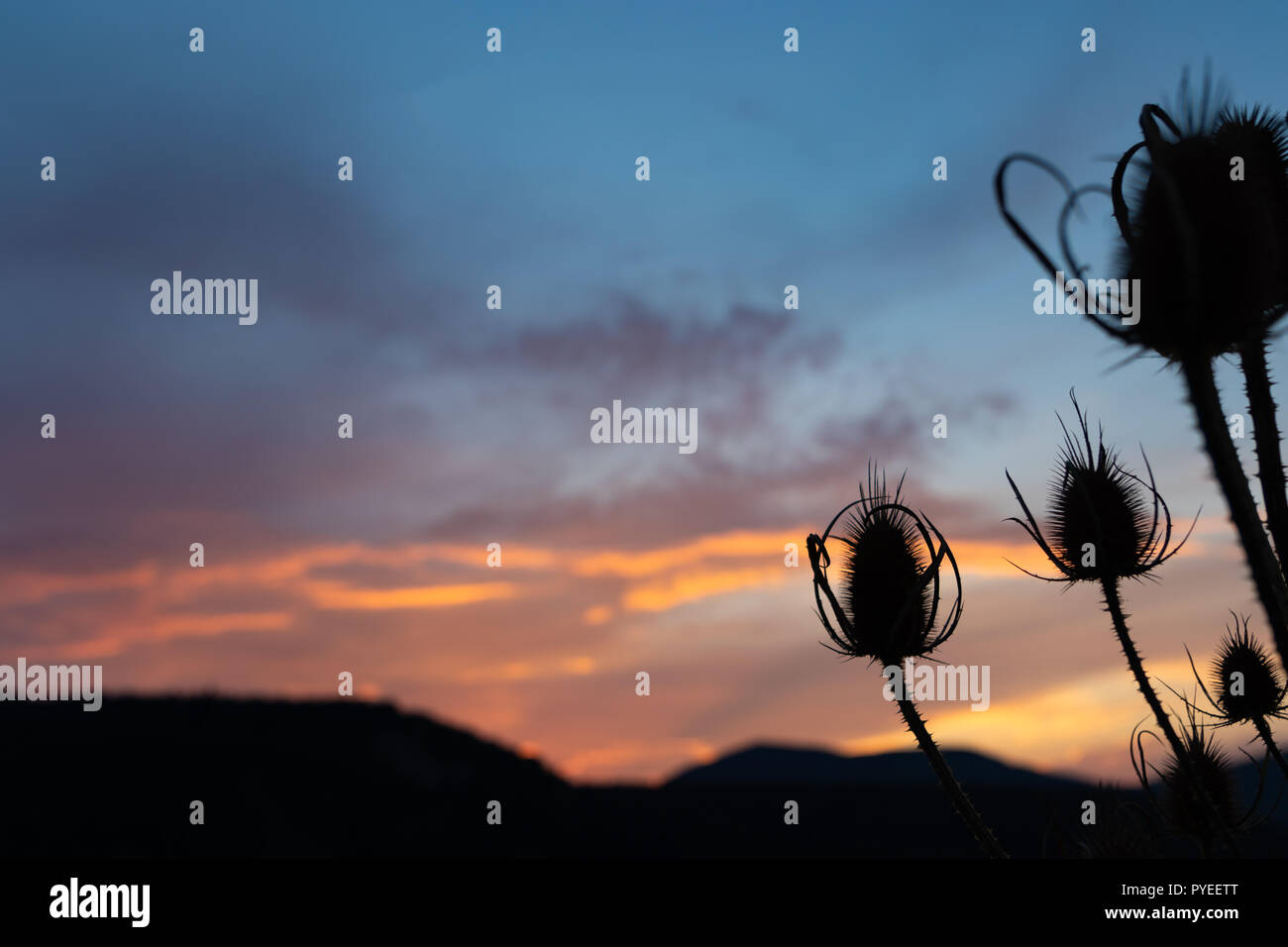 Orange and yellow sunset with mountains silhouettes. Gradient vivid ...