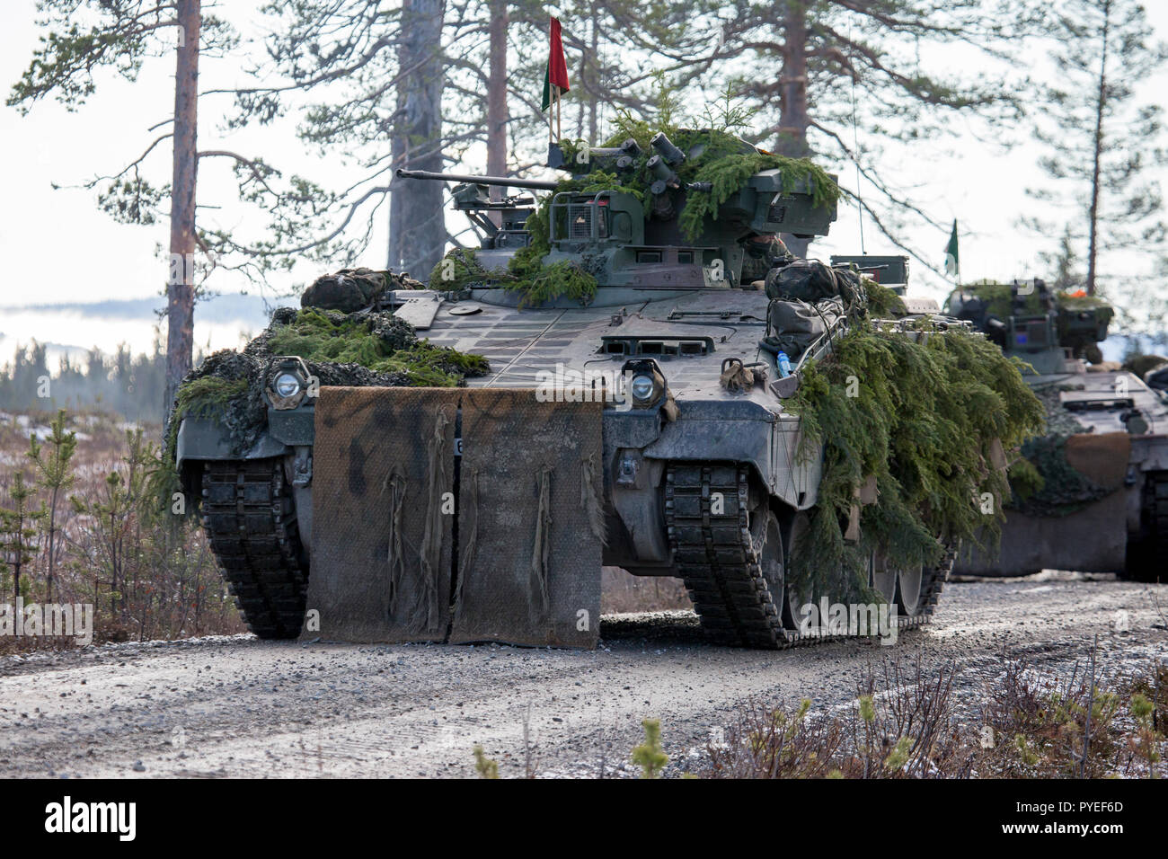 Mechanized infantry combat vehicle hi-res stock photography and images ...