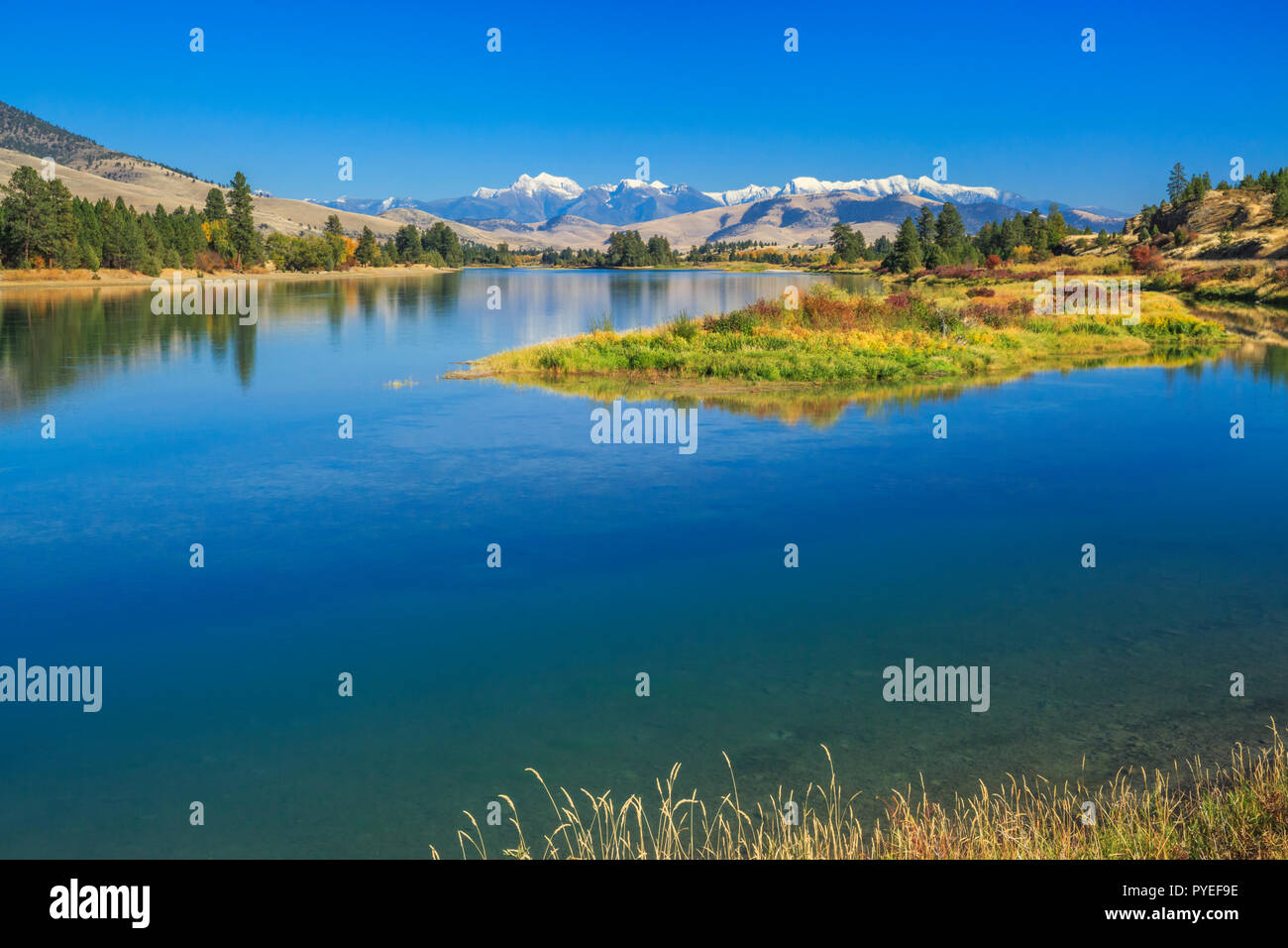 Mt d7922 hi-res stock photography and images - Alamy