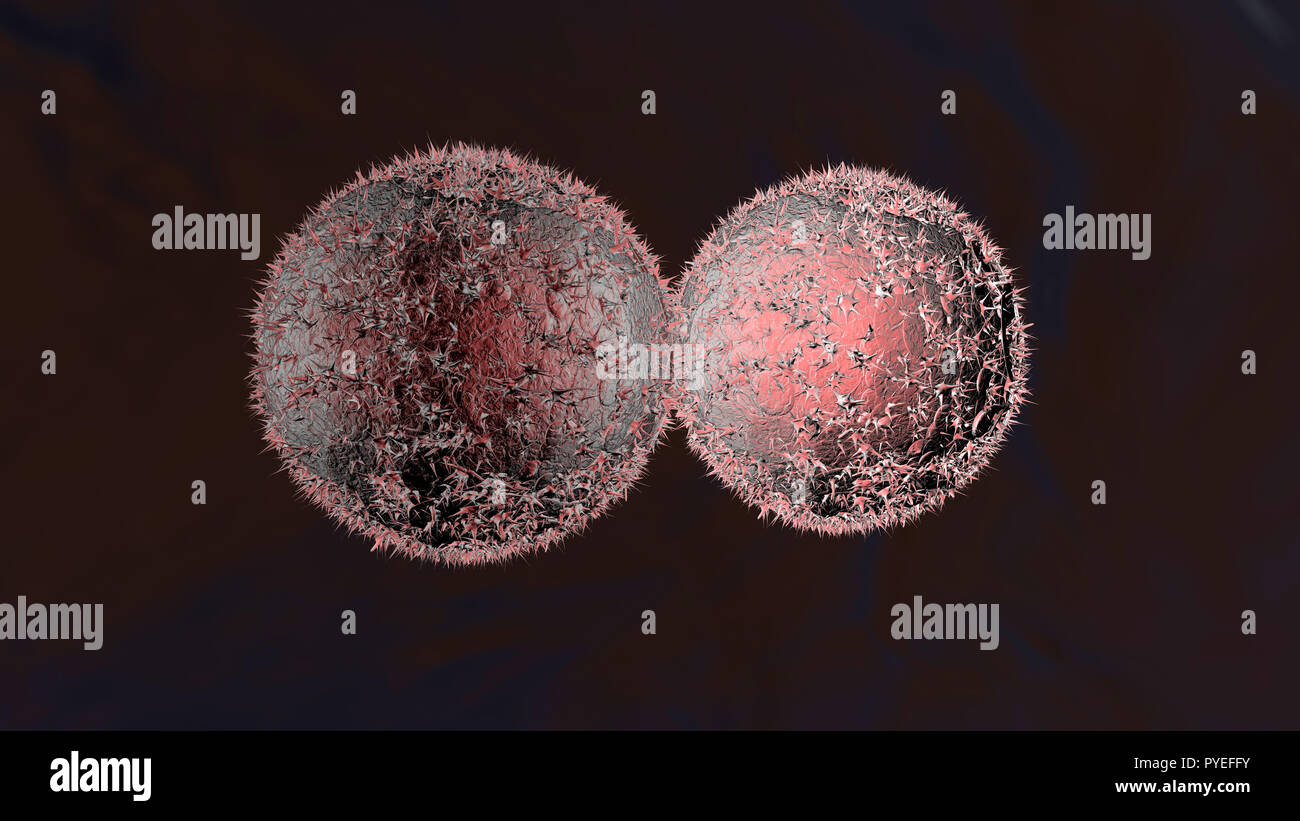 3D rendered Illustration of the Mitosis and division of a Cancer Cell ...