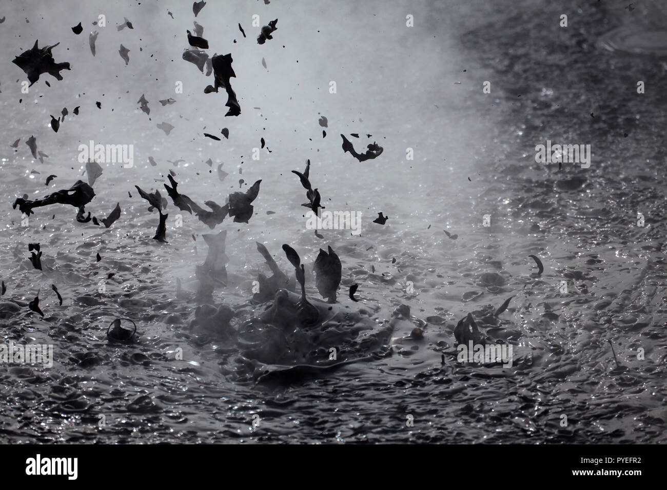 Boiling mud new zealand hi-res stock photography and images - Alamy