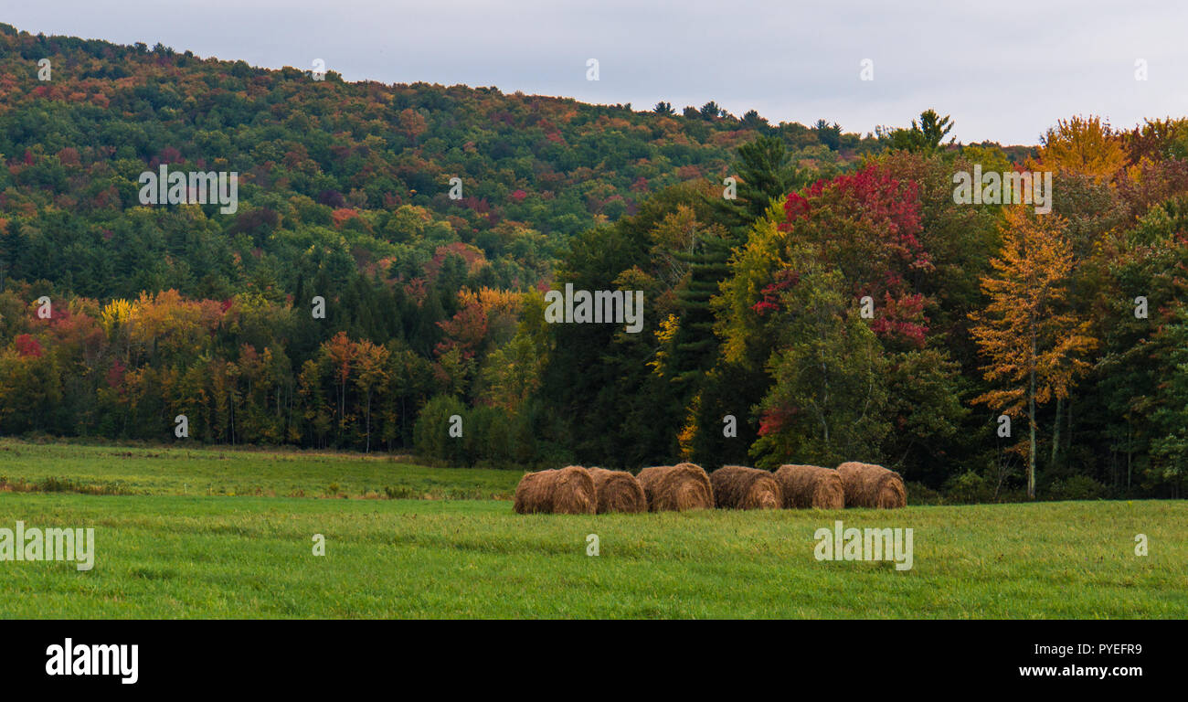Grass hay landscape hi-res stock photography and images - Alamy