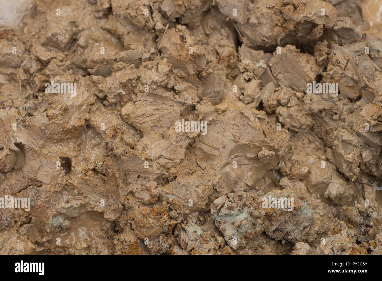 Wet clay texture hi-res stock photography and images - Alamy