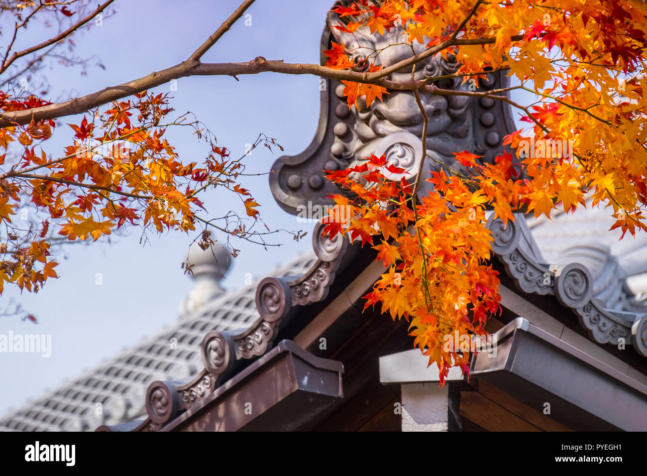 Famous Genko-an Temple with window of enlightenment and window of ...