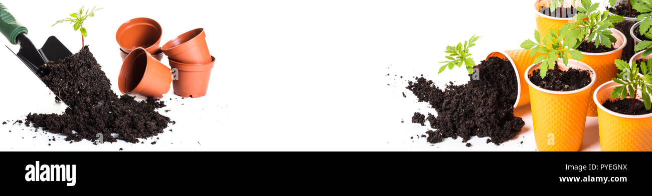 fallen pot with a young plant, photo collage on a white background ...