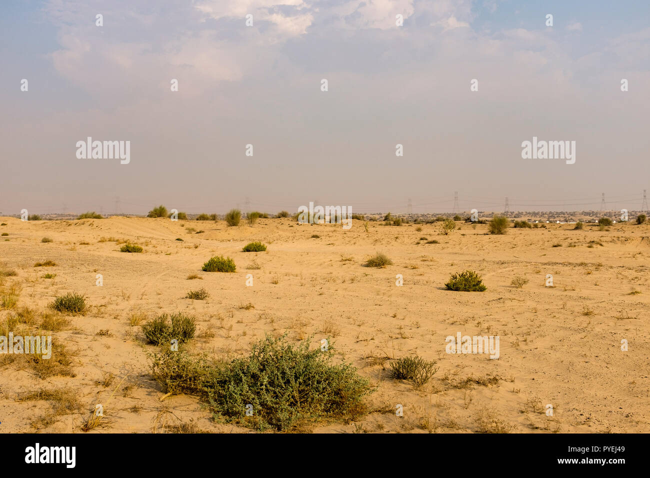 Scrubland and desert on the outskirts of Dubai, UAE. Power lines can be ...