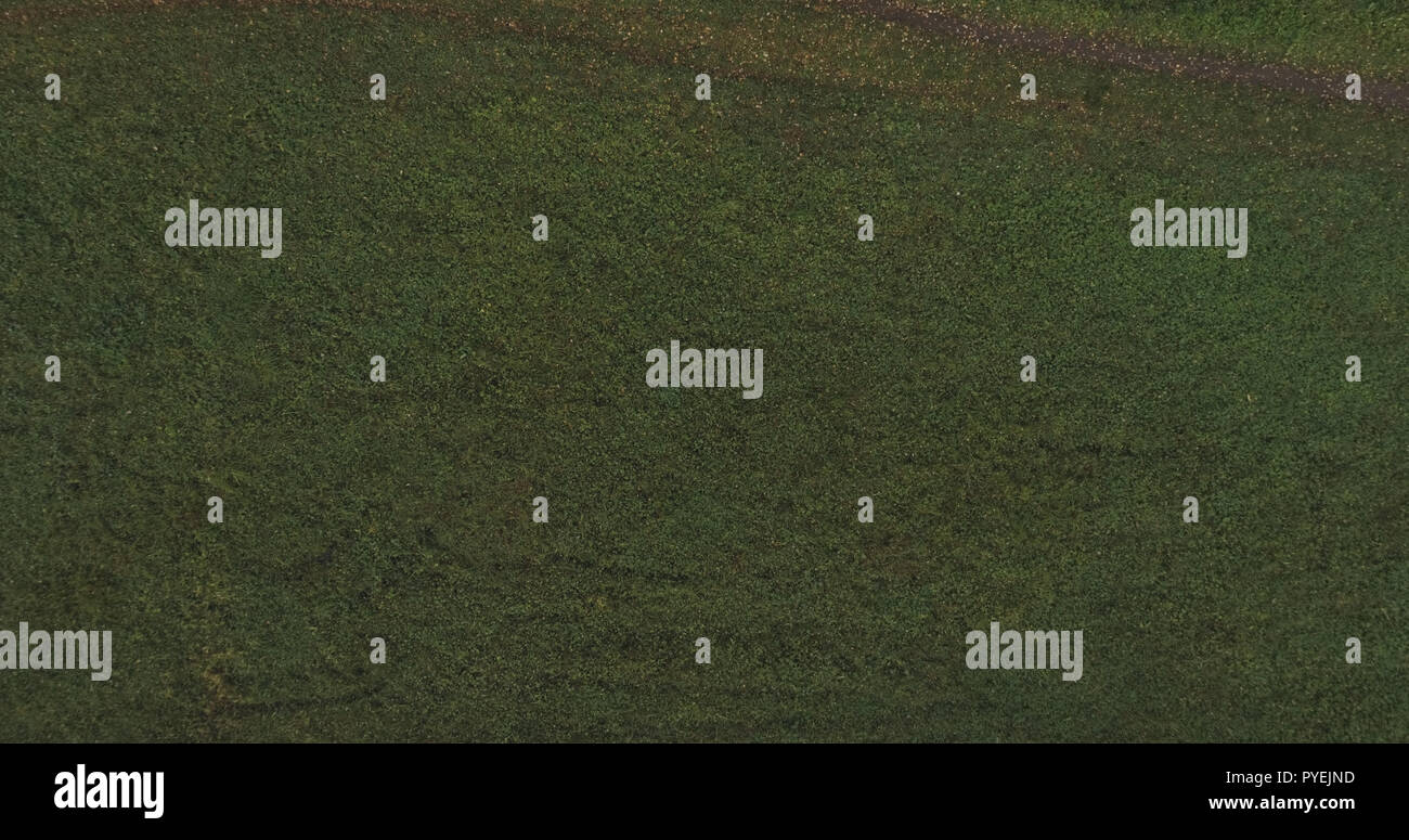 Aerial top view over field in the morning, wide photo Stock Photo - Alamy