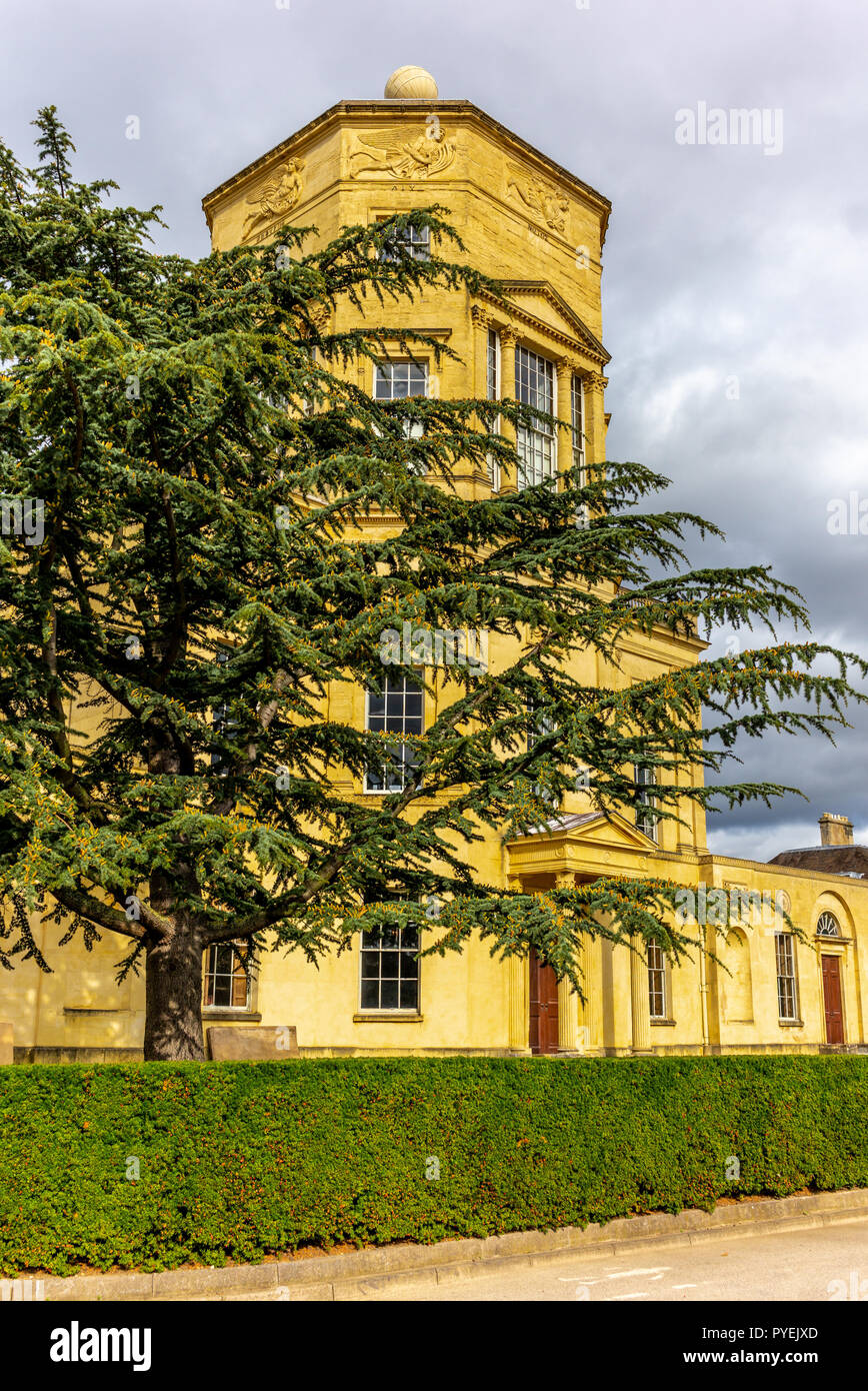 Tree outside oxford university hi-res stock photography and images - Alamy