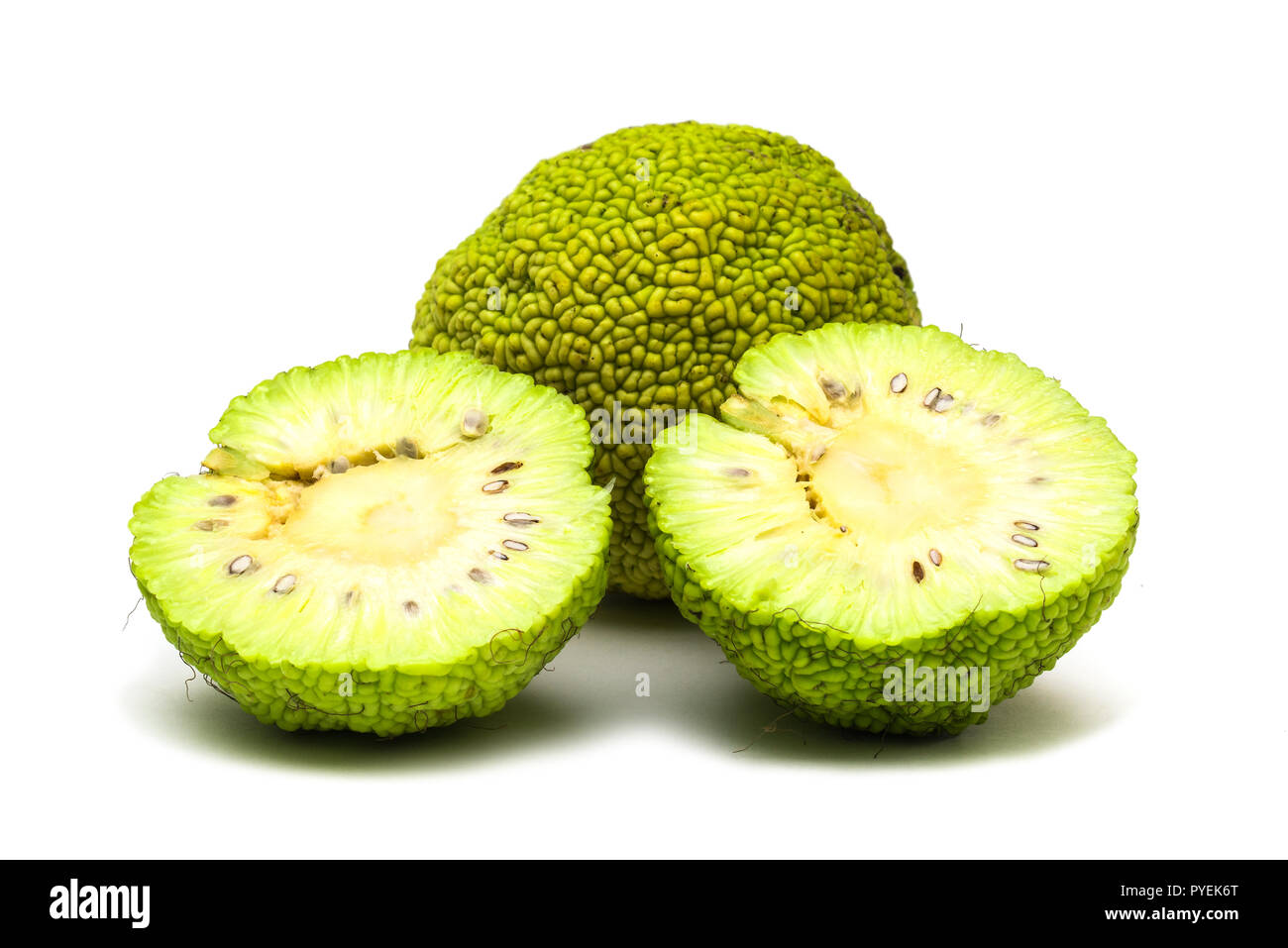 Maclura pomifera fruit isolated on white background Stock Photo - Alamy