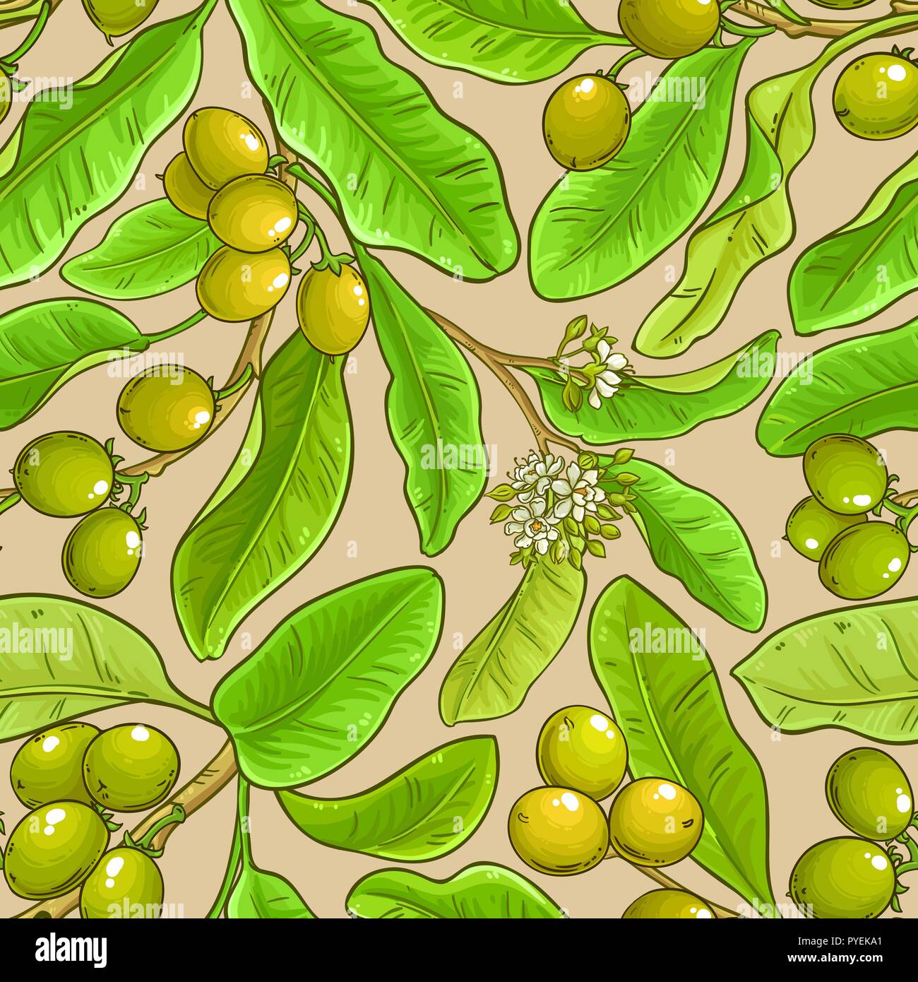 shea vector pattern on white background Stock Vector Image & Art - Alamy