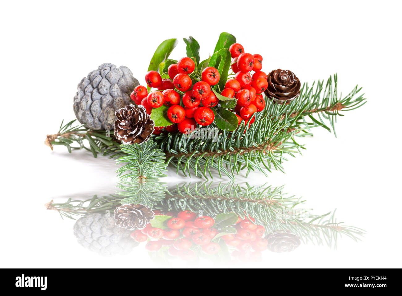Pine cones and red berries Cut Out Stock Images & Pictures - Alamy