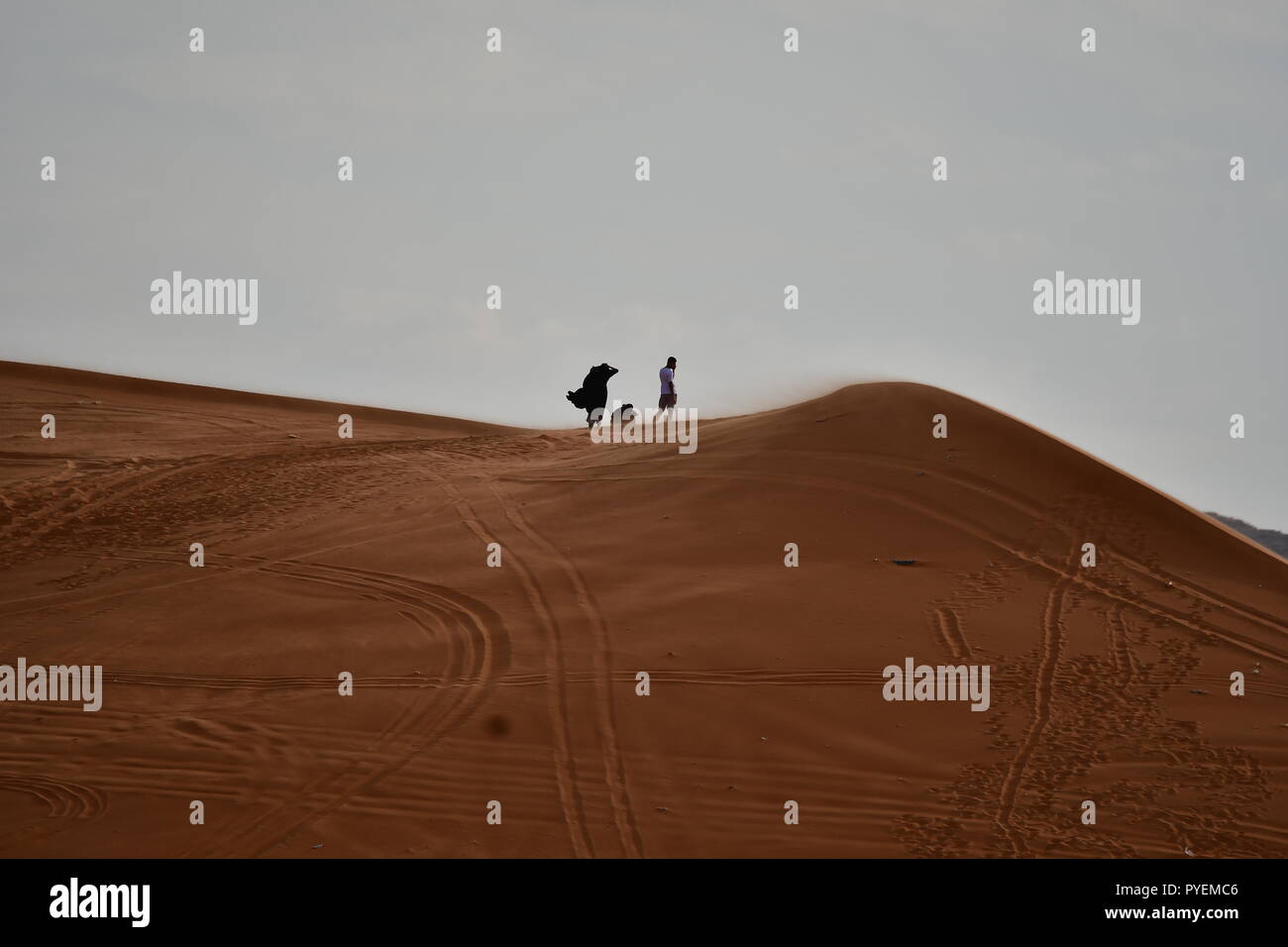 Solitude in the desert areas Stock Photo - Alamy