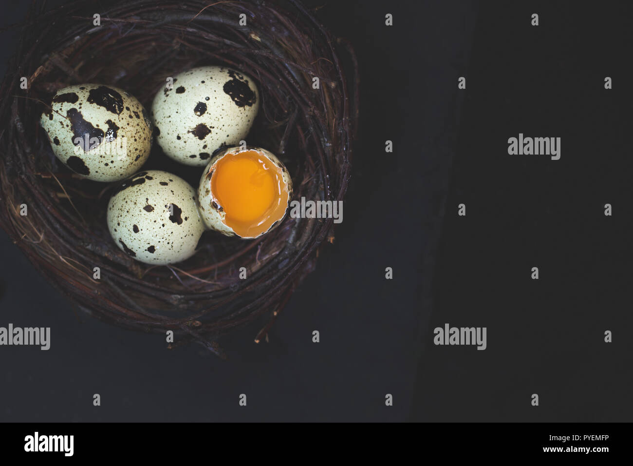 Broken quail eggs in small nest, on black table; with copy space Stock ...