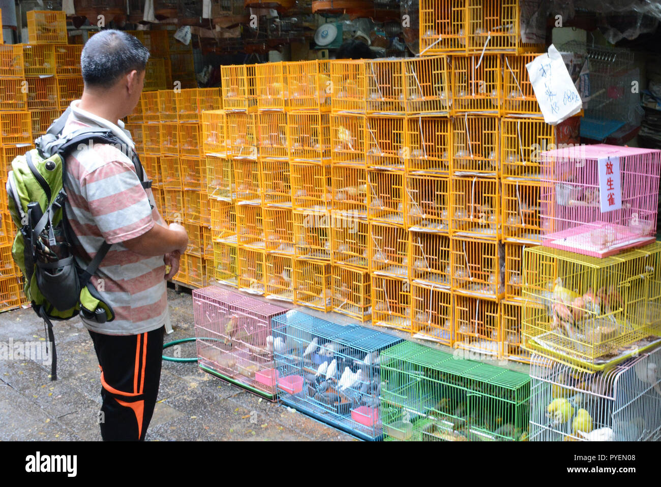 Yuen Po Bird Garden , Birds market, Boundary Street, Mong Kok, Kowloon ...