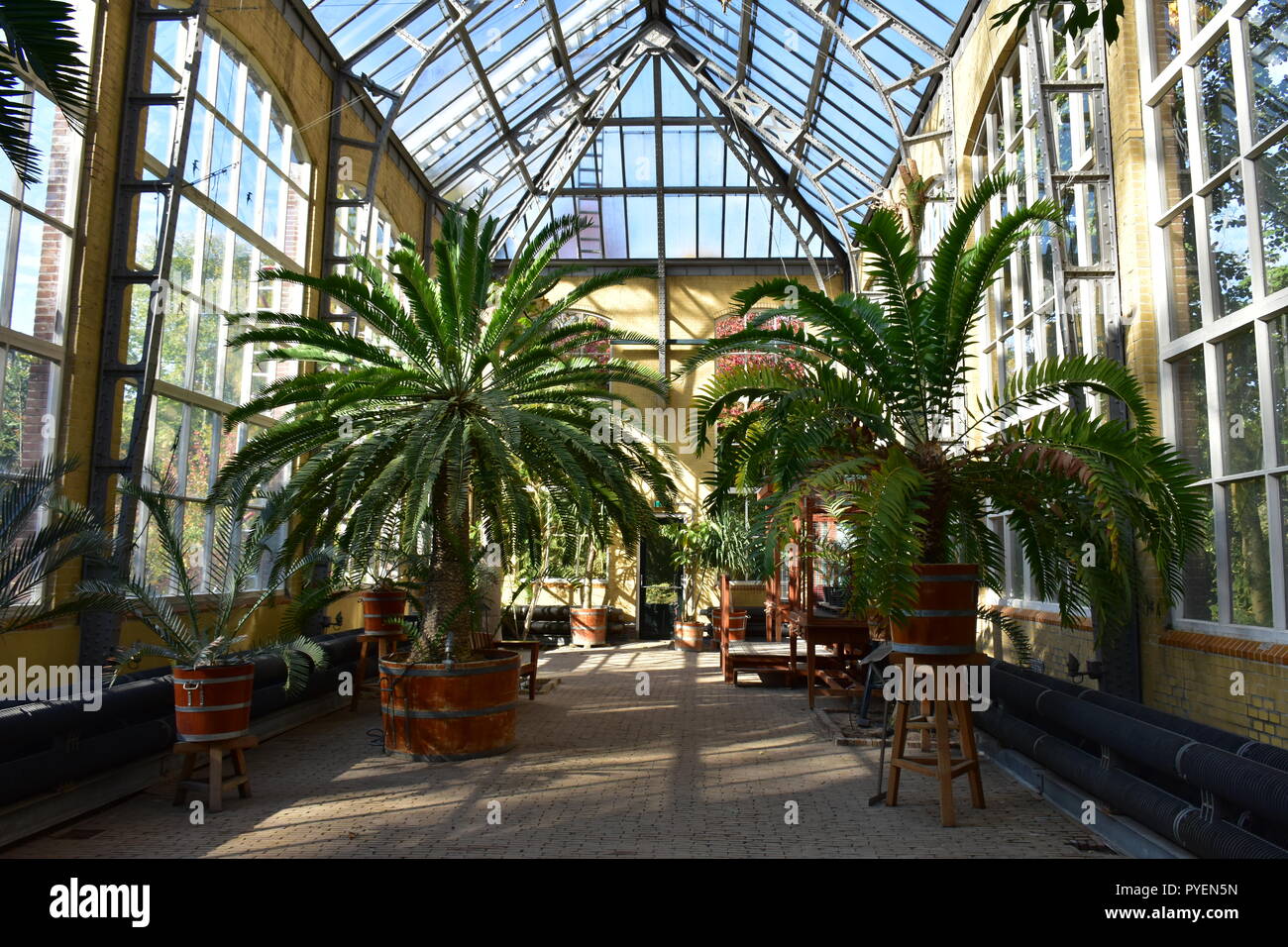 Botanical garden green house Stock Photo - Alamy