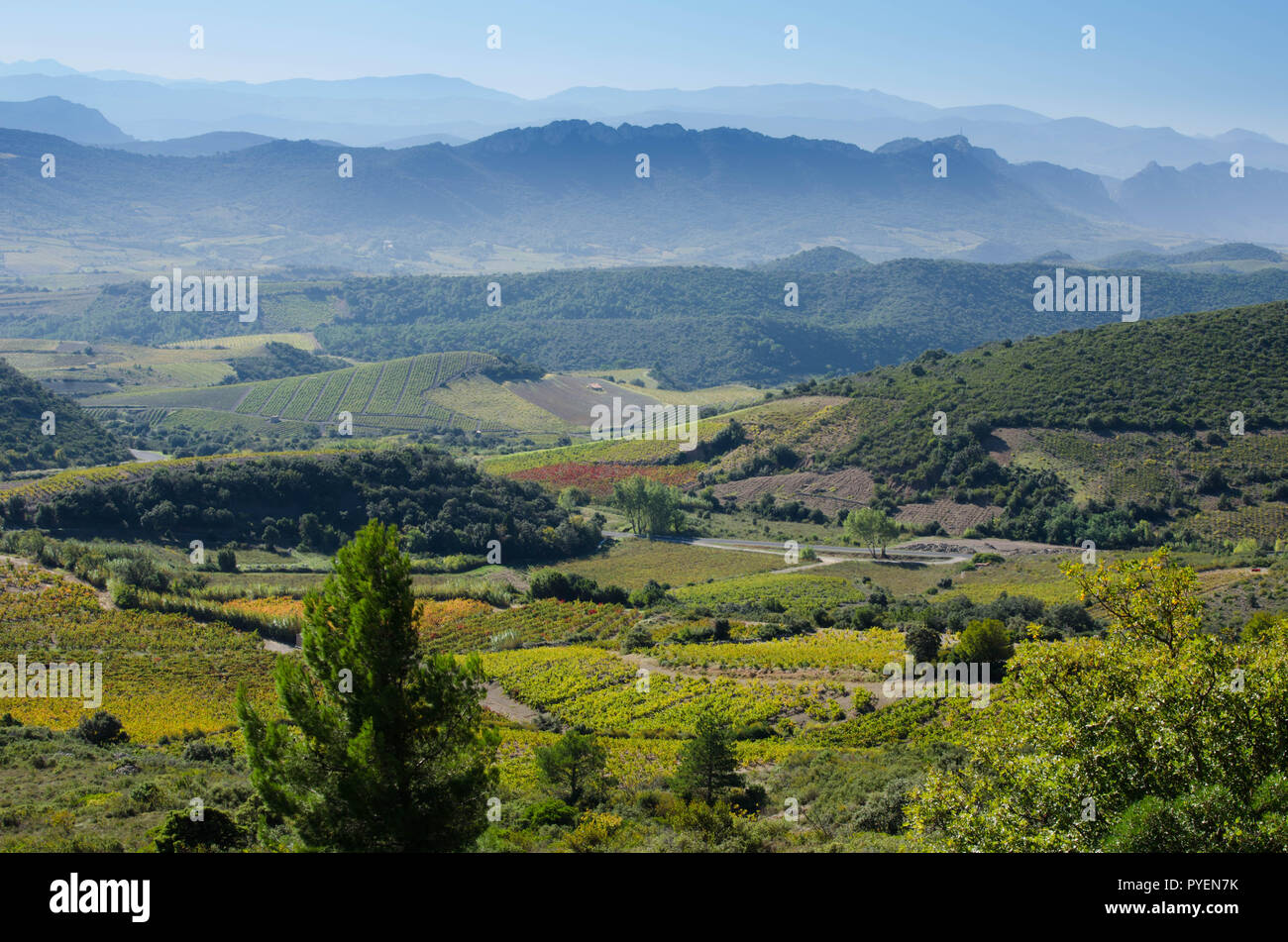 Mary grau hi-res stock photography and images - Alamy