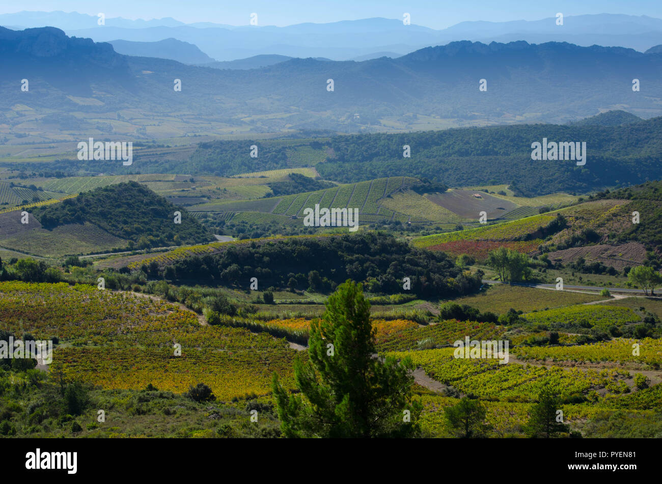 Mary grau hi-res stock photography and images - Alamy