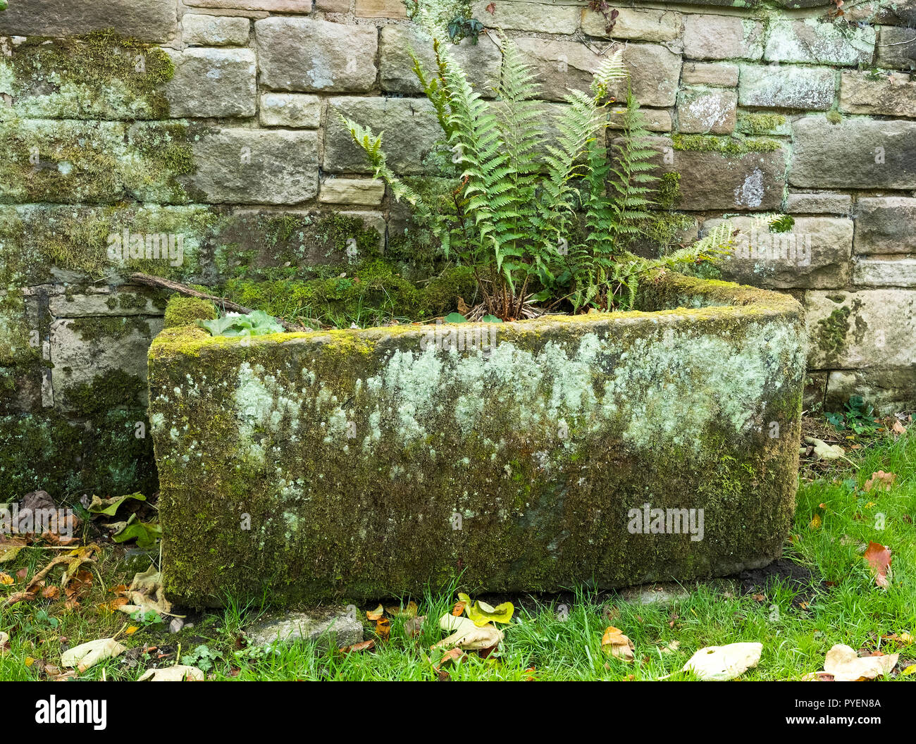 Old English stone horse trough Stock Photo - Alamy