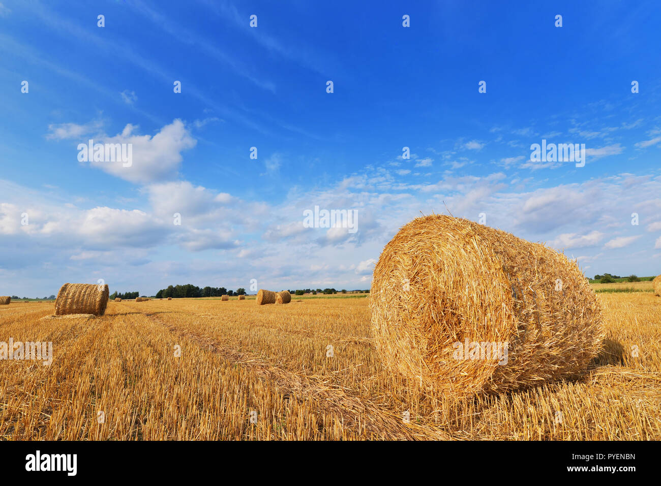 Summer landscape after harvest - hay bales on field Stock Photo - Alamy