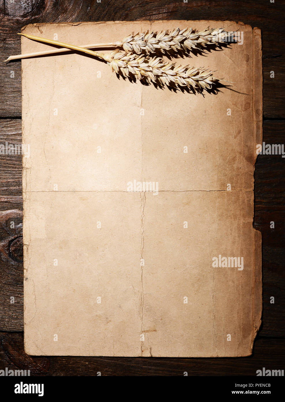 Old dirty paper and rye ears - menu concept Stock Photo - Alamy