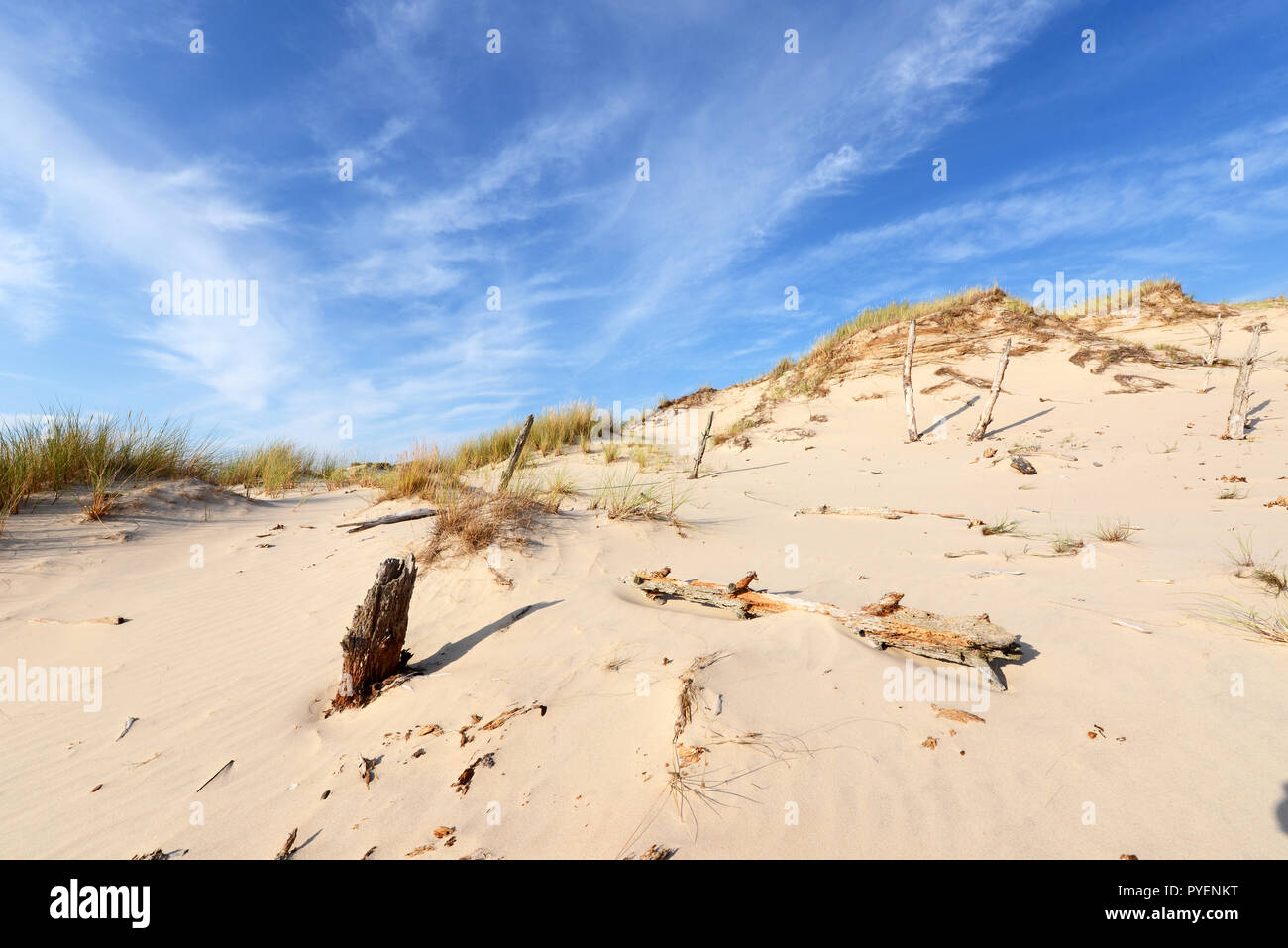 Cloudy day in gobi desert hi-res stock photography and images - Alamy