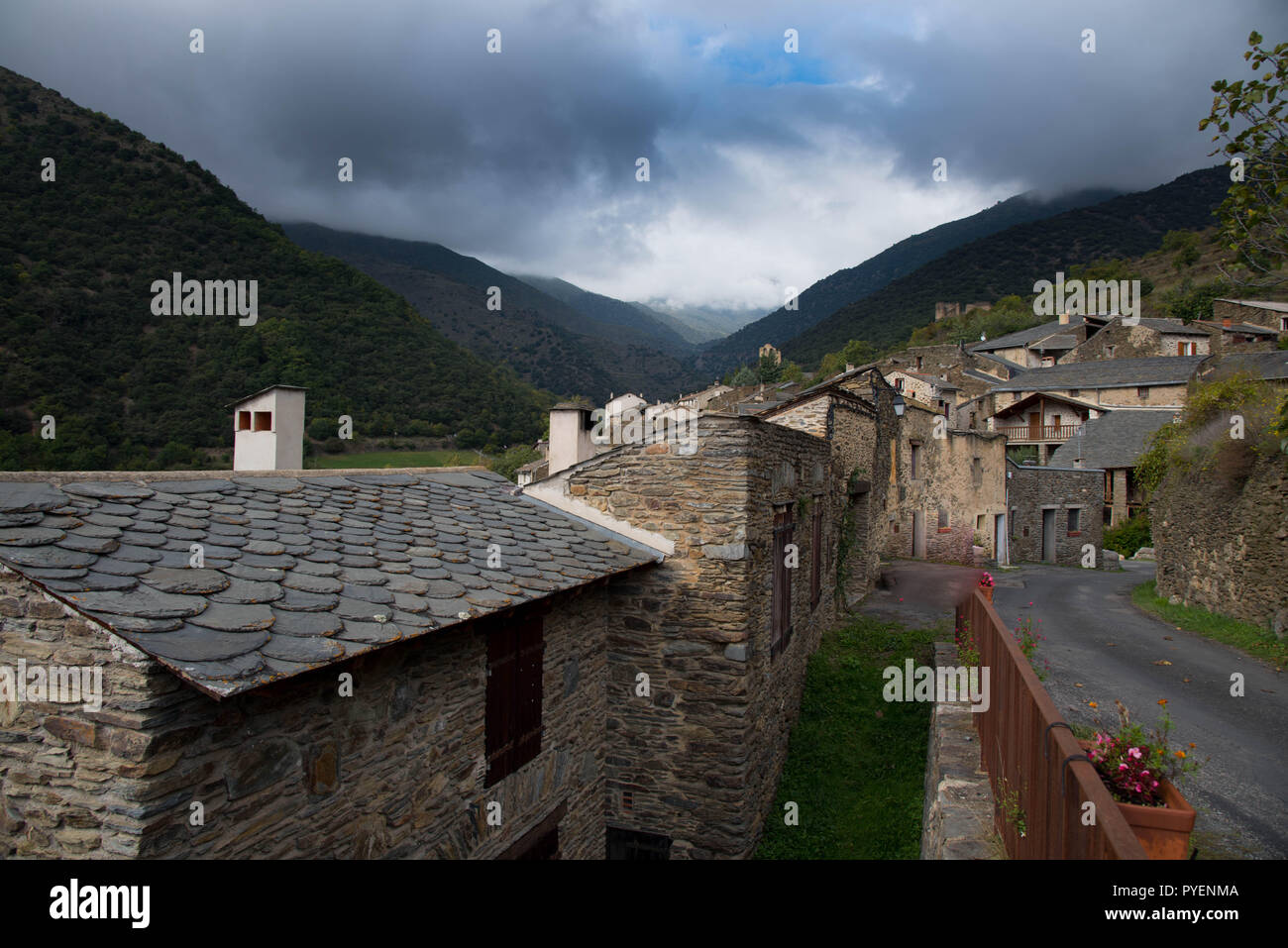 Evol Hi Res Stock Photography And Images Alamy