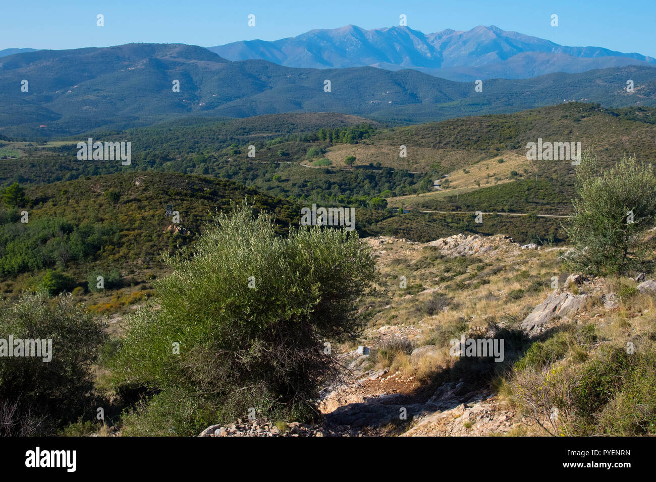 Landscape of the pyrenees hi-res stock photography and images - Alamy