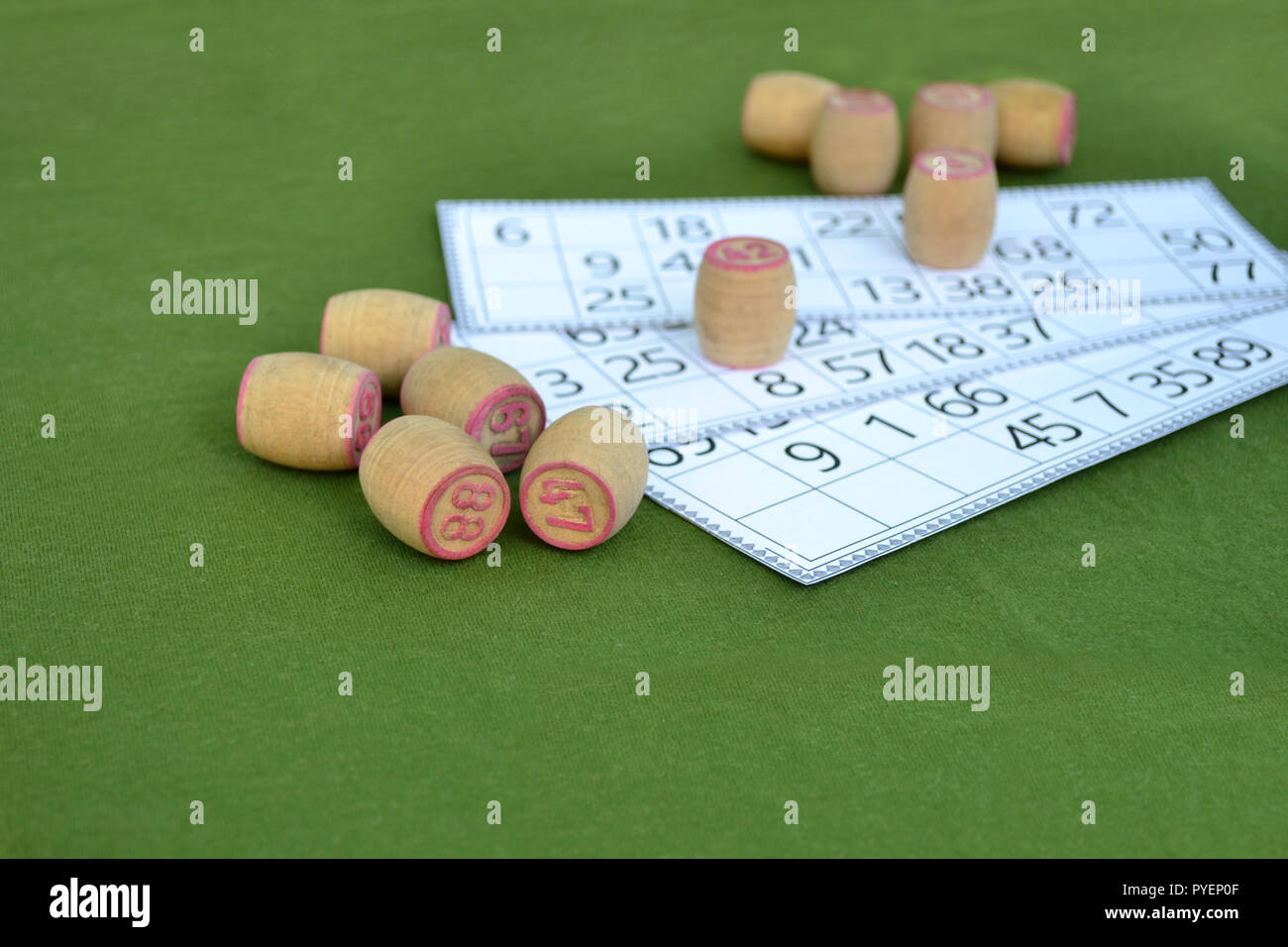 The game of bingo consists of cards and barrels with numbers on a green ...