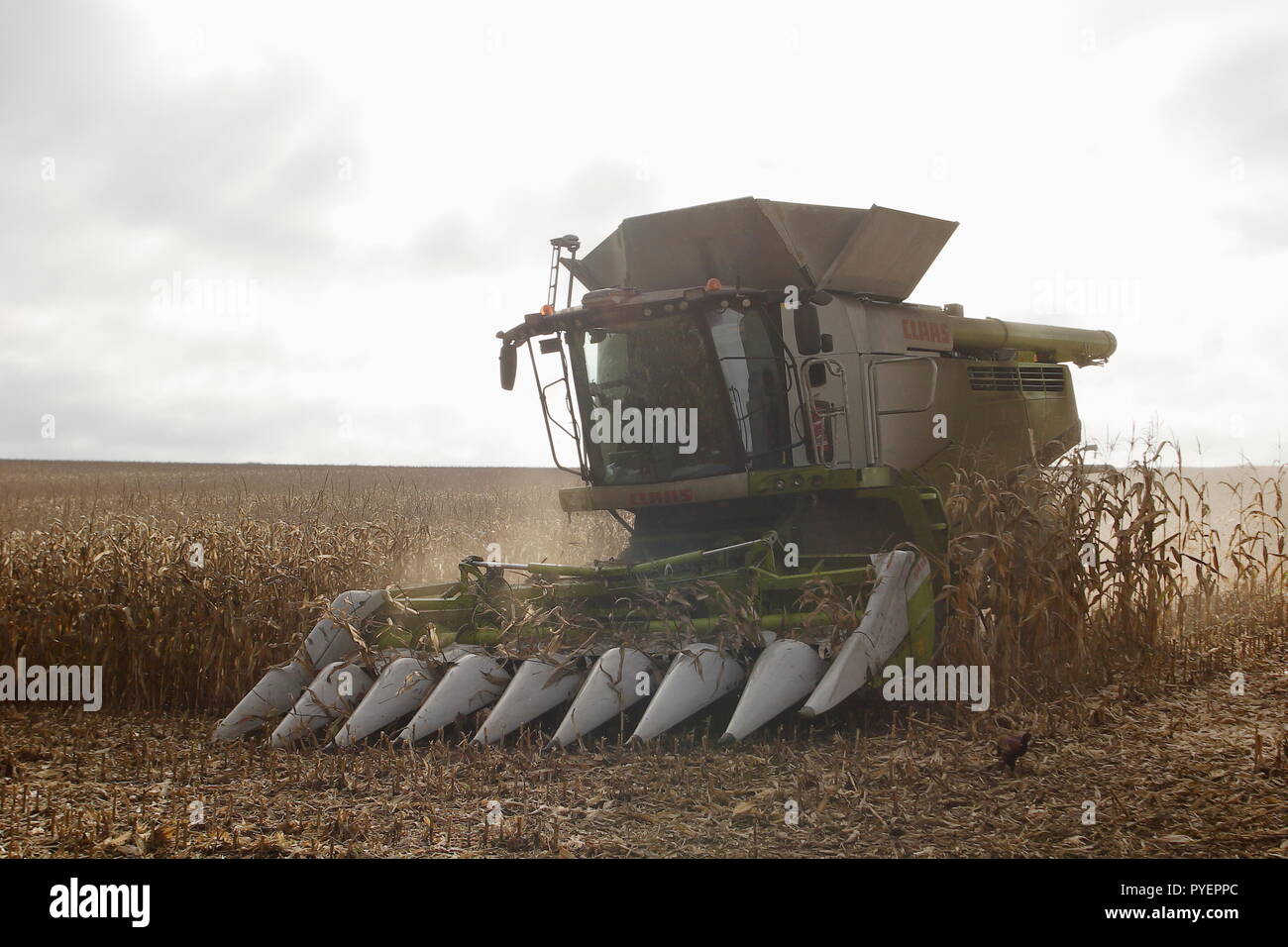 Combine Harvester Horror
