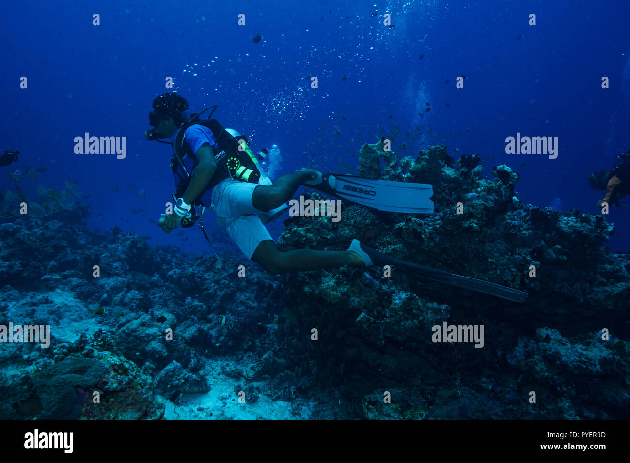 SCUBA diving at the Maldives Stock Photo - Alamy