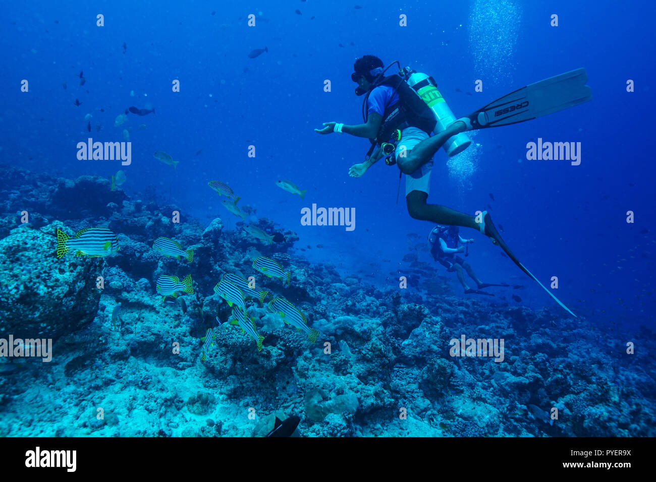 SCUBA diving at the Maldives Stock Photo - Alamy