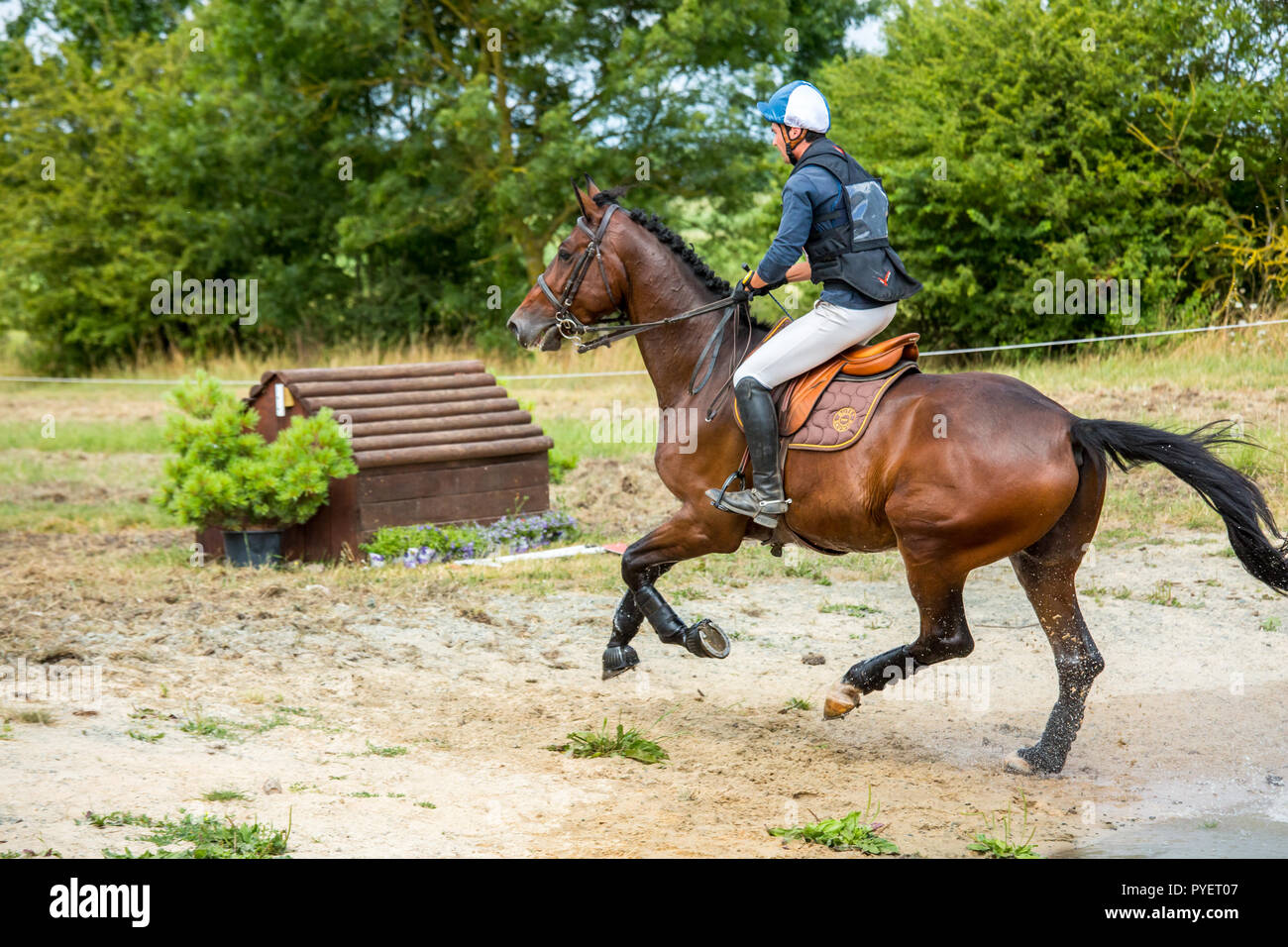 Horse rider crossing water equestrian hi-res stock photography and ...
