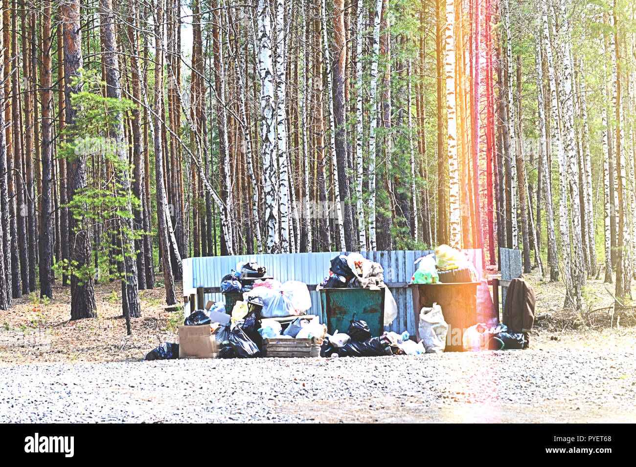 Litter box full of garbage in forest. Concept of ecology problem. Toned ...