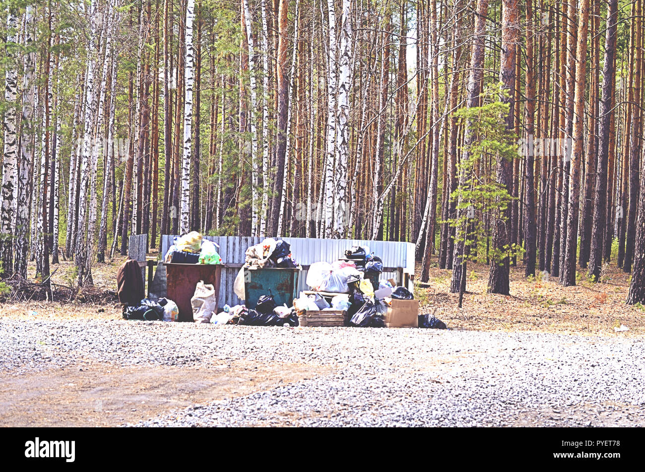 Litter box full of garbage in forest. Concept of ecology problem. Toned ...