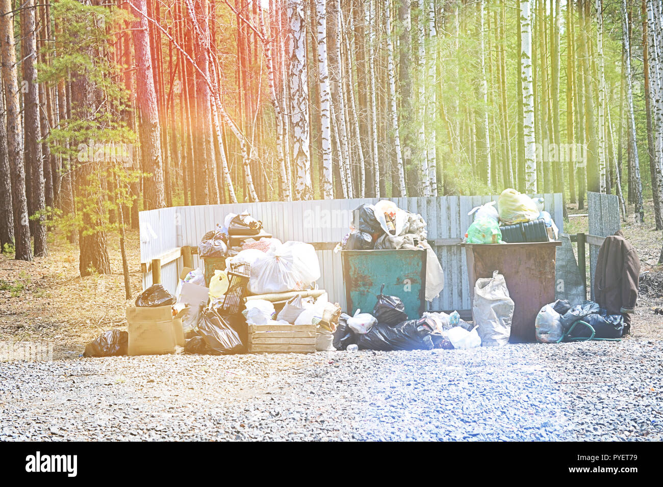 Litter box full of garbage in forest. Concept of ecology problem. Toned ...