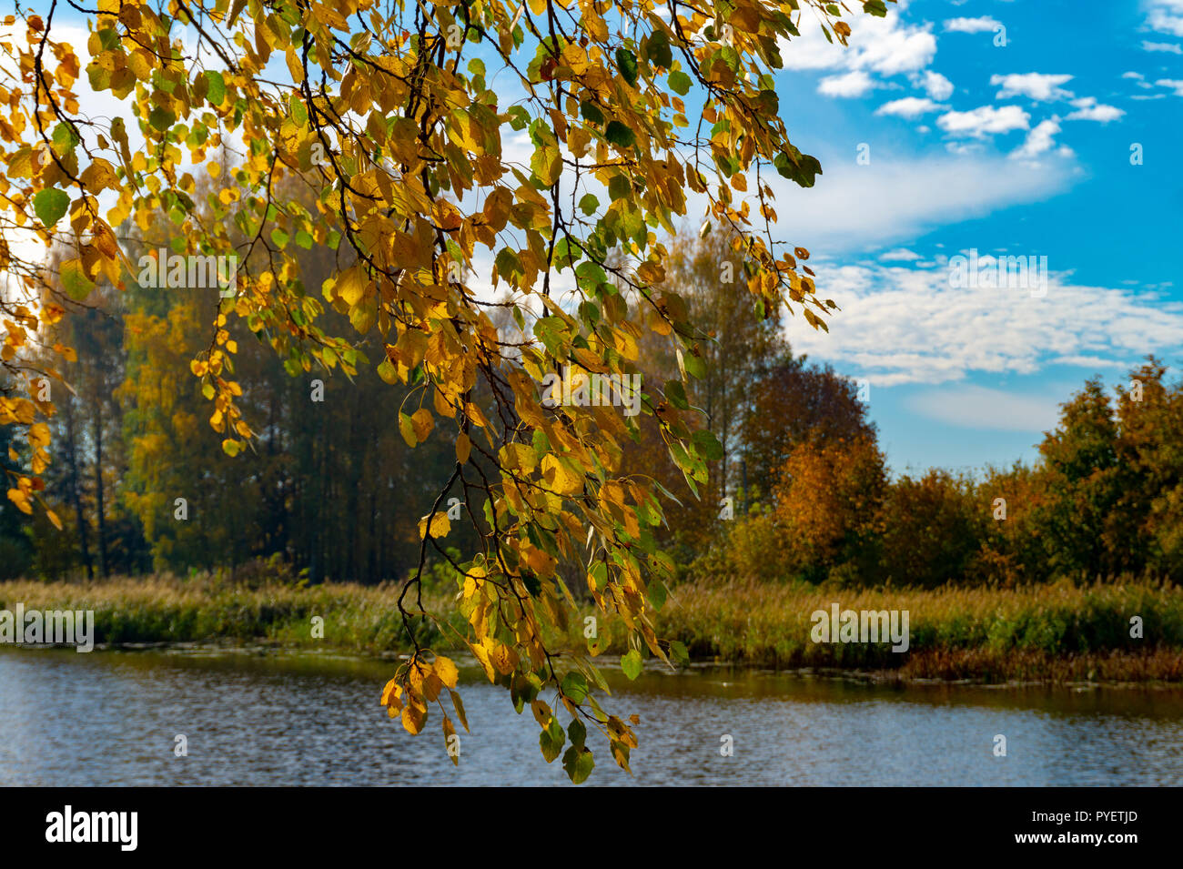 Autumn begins leaves changing color in first days of fall season change ...