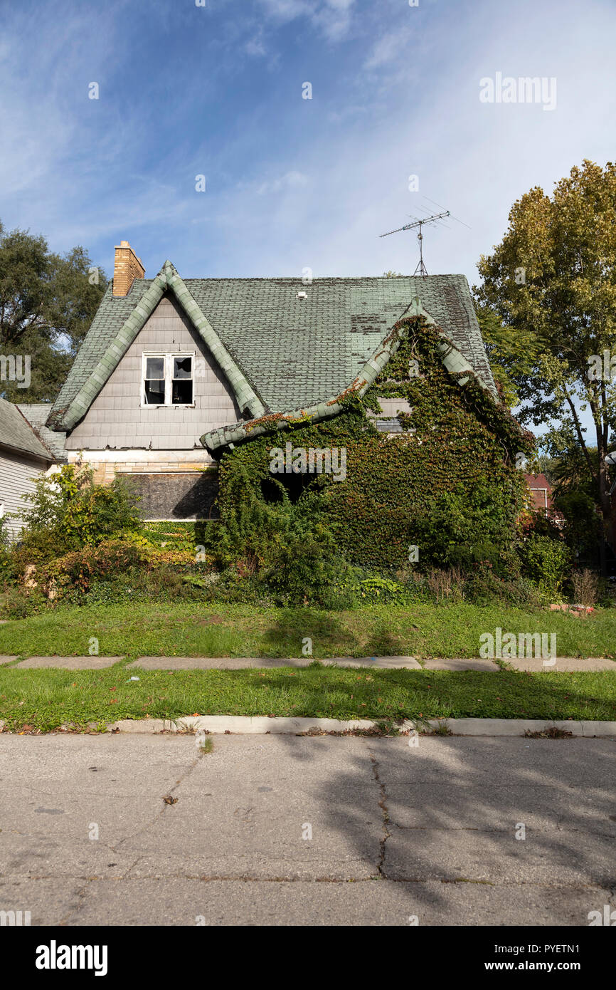 Inner city Detroit, Michigan USA, by James D Coppinger/Dembinsky Photo ...