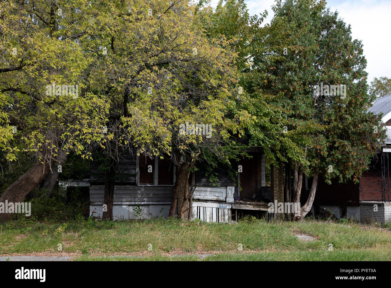 Inner city Detroit, Michigan USA, by James D Coppinger/Dembinsky Photo ...