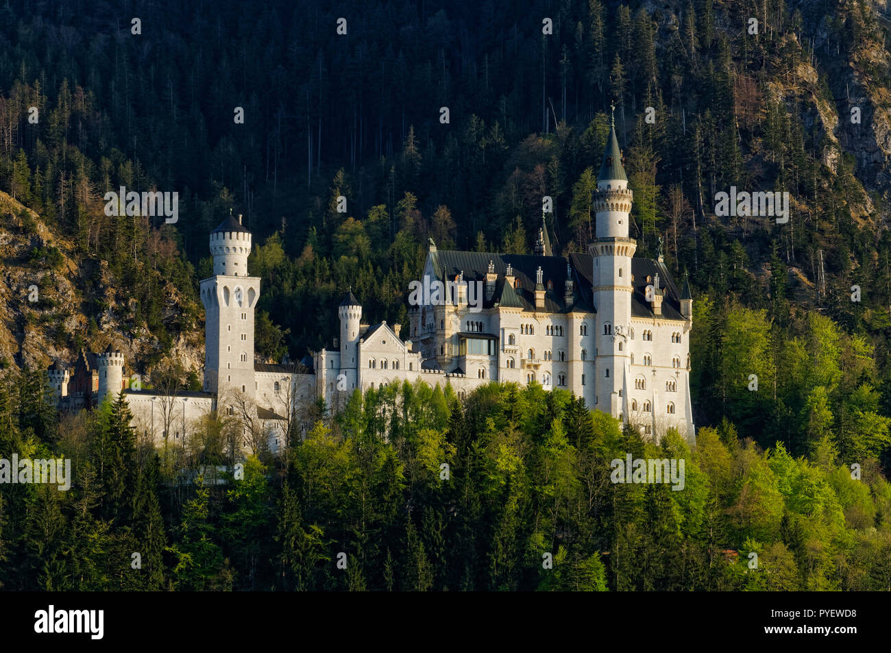 Neuschwanstein castle in the Ammergau Alps near Schwangau, in front of ...