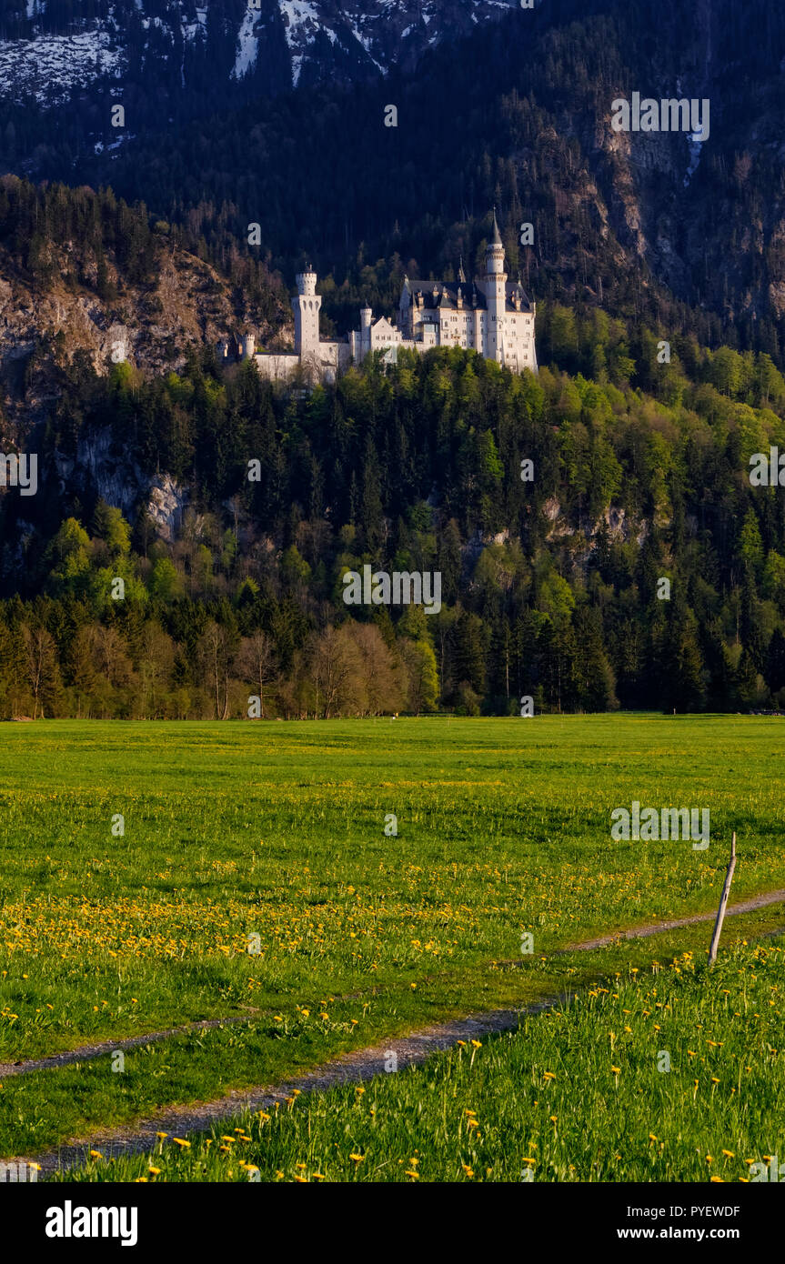 Neuschwanstein castle in the Ammergau Alps near Schwangau, in front of ...
