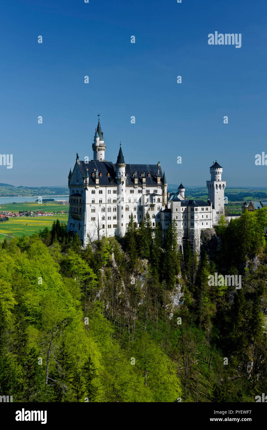 Neuschwanstein castle in the Ammergau Alps, seen from Marienbrücke ...