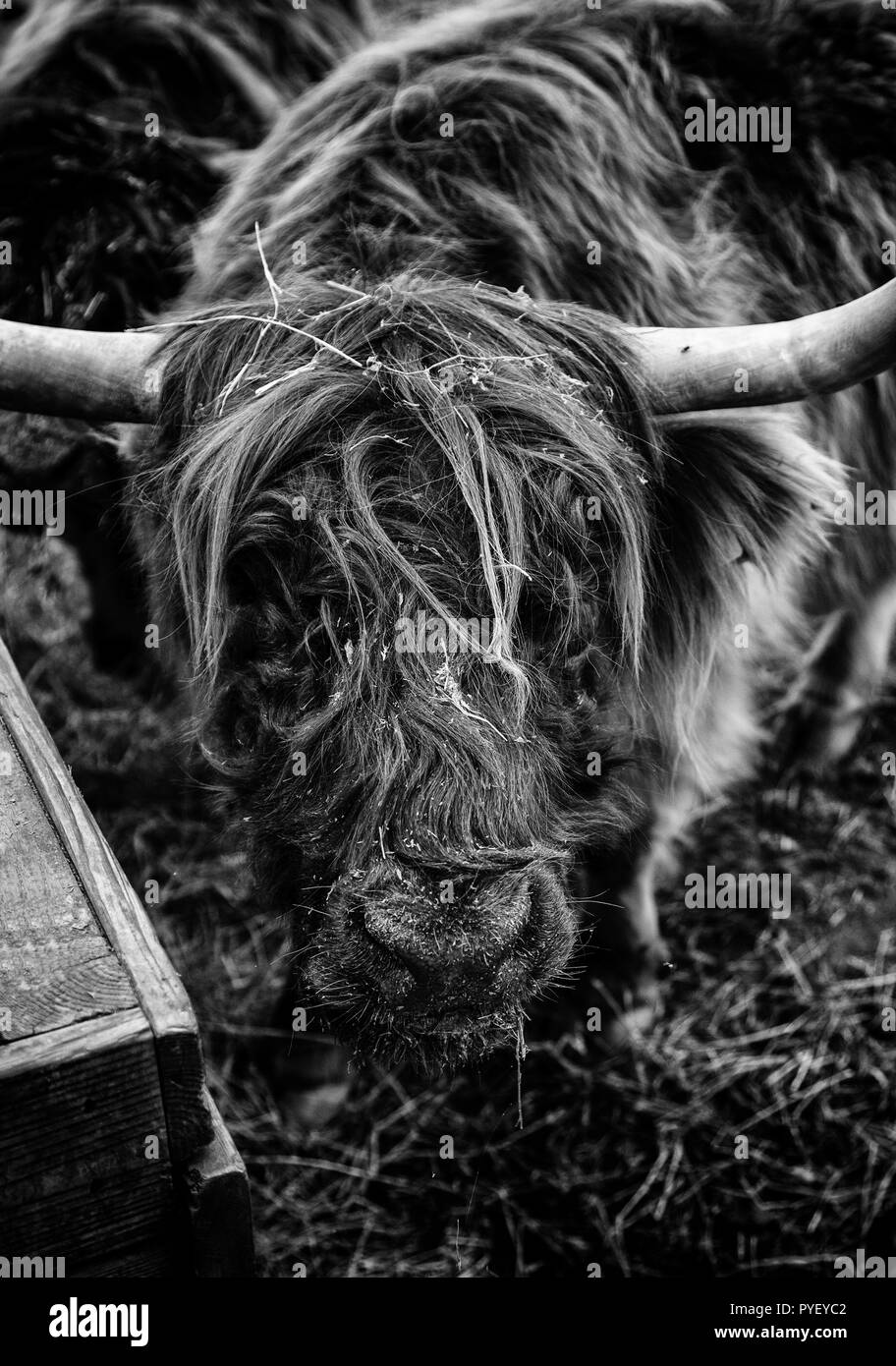 Farmland detail Black and White Stock Photos & Images - Alamy