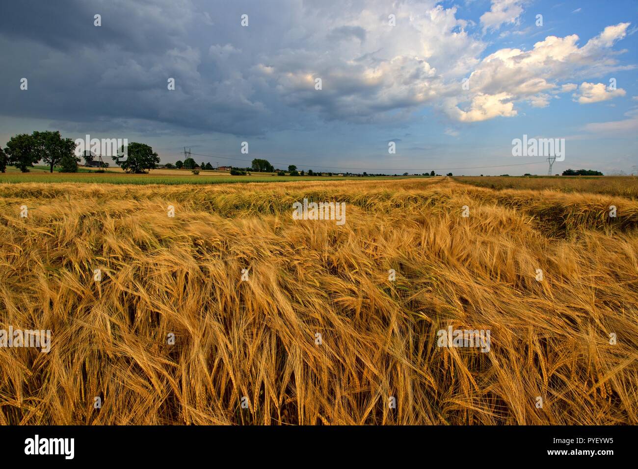Torm hi-res stock photography and images - Alamy