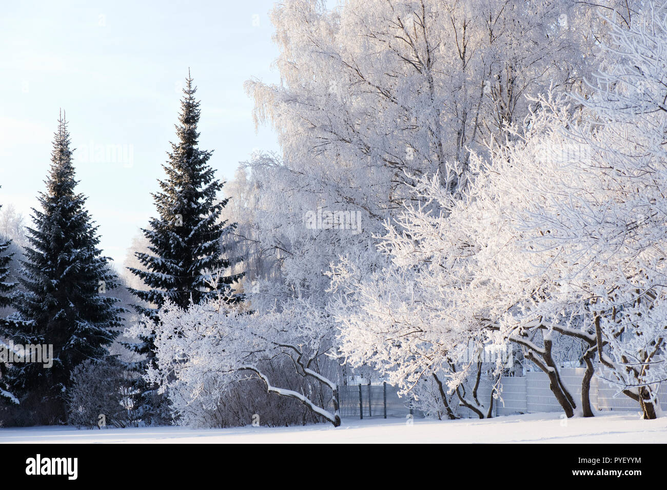 Frosted landscape hi-res stock photography and images - Alamy