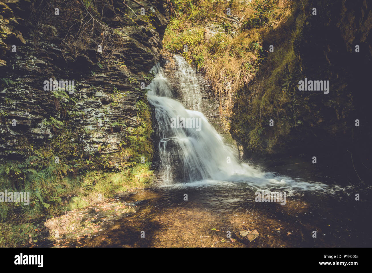 Bushkill Falls in Poconos, PA, surrounded by lush fall foliage Stock ...